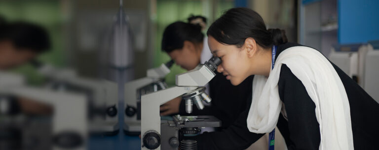 About Us – BLC Global Holdings